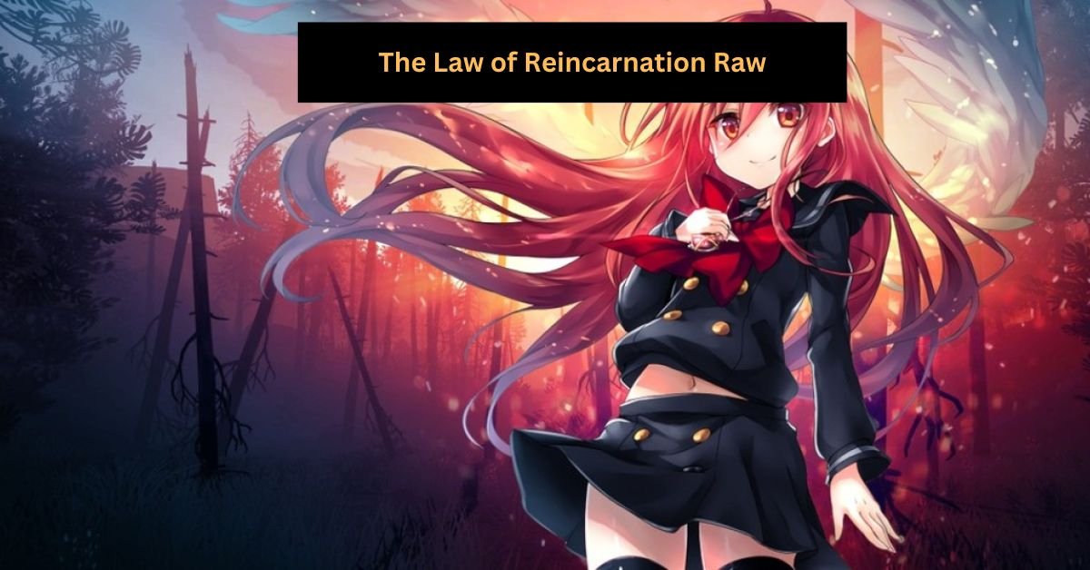 The Law of Reincarnation Raw: Unraveling the Cycle of Lives in a ...
